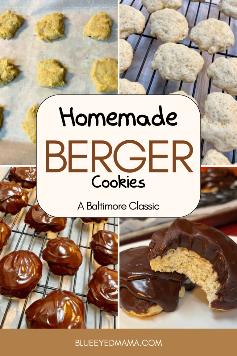 Berger Cookie Recipe - Blue Eyed Mama | Family Recipes, Crafts ...