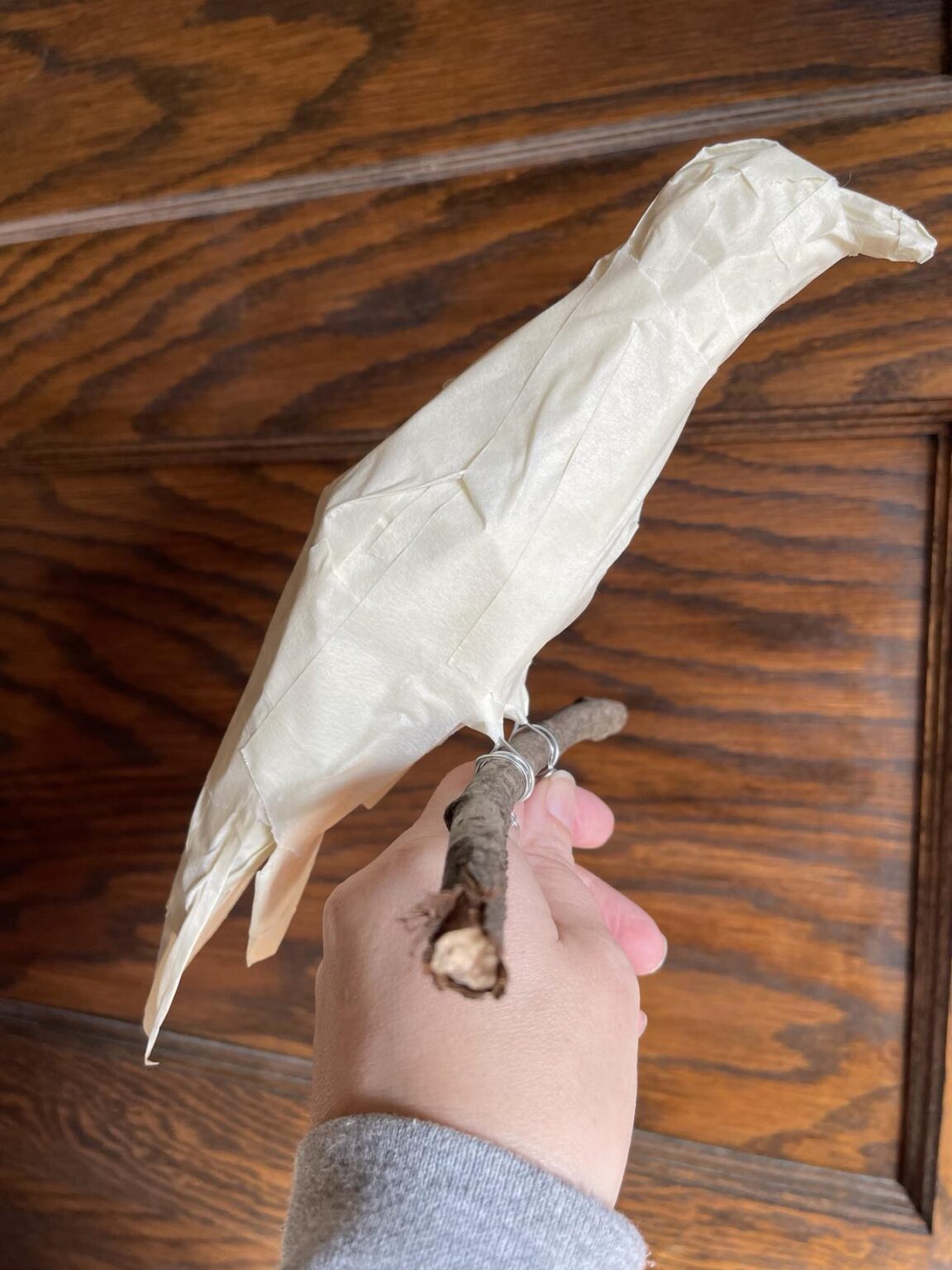 DIY Raven Craft (or Crow!) | Easy Halloween Poe Project for Kids & Teens