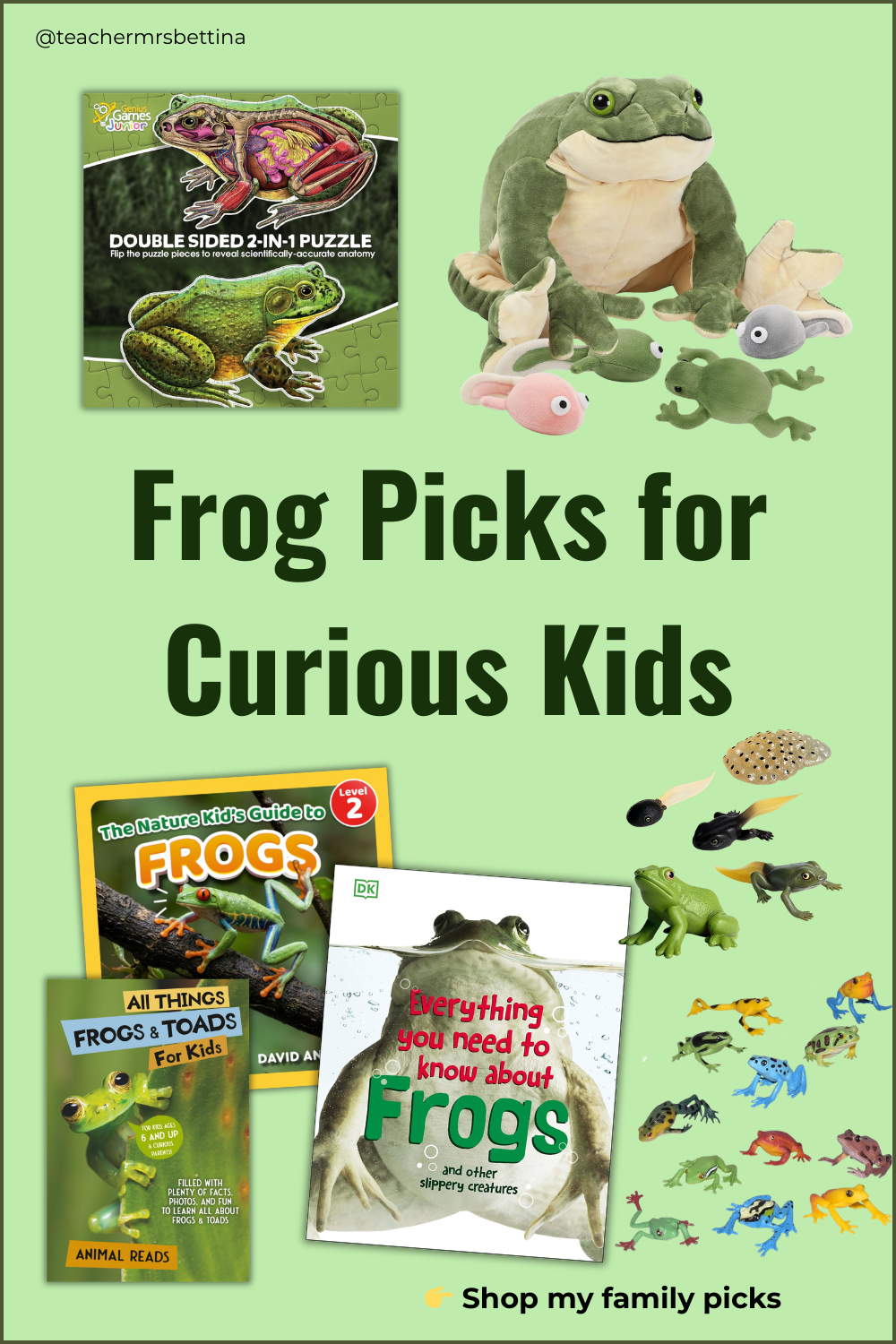 Frog Science Activities for Kids (Life Cycle and Habitat Experiments ...